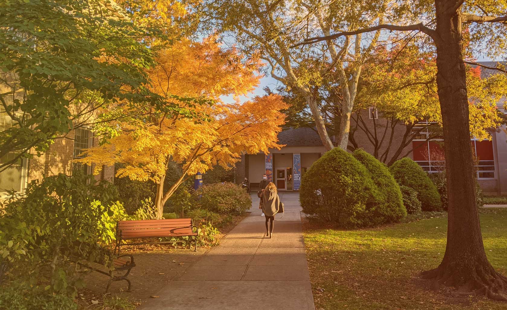 Hofstra Cardiovascular Sciences and Perfusion Medicine - Perfusion.com